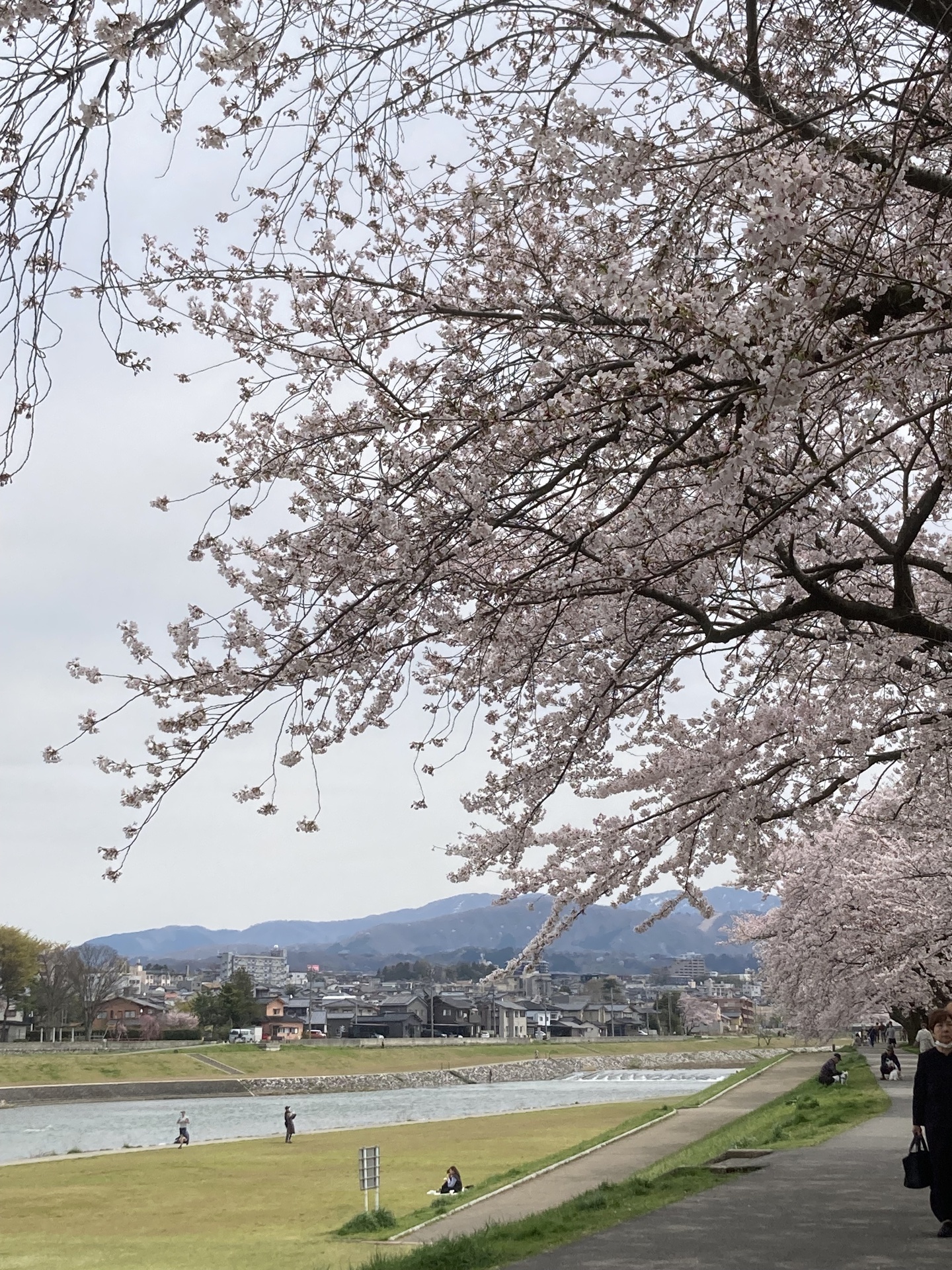 間に合った: 時事放談3